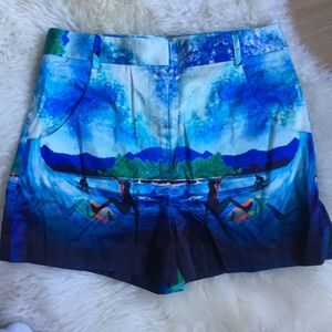 Milly | Shorts | Milly Surfs Up Shorts | Poshmark